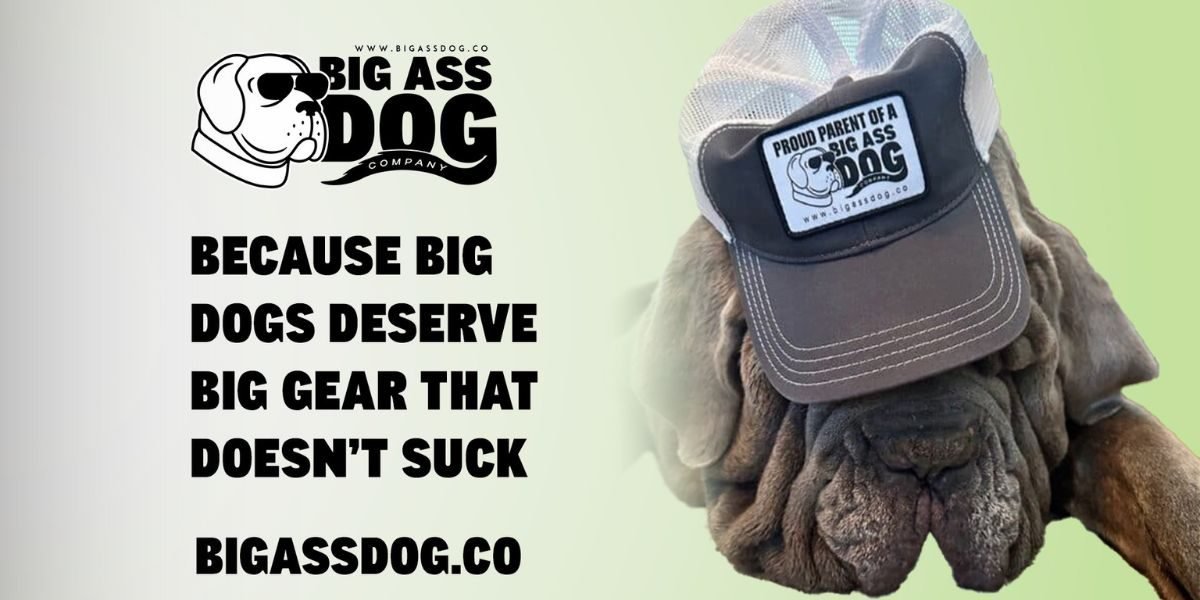 Finally, Products Built for Your Big Ass Dog: Introducing Big Ass Dog ...